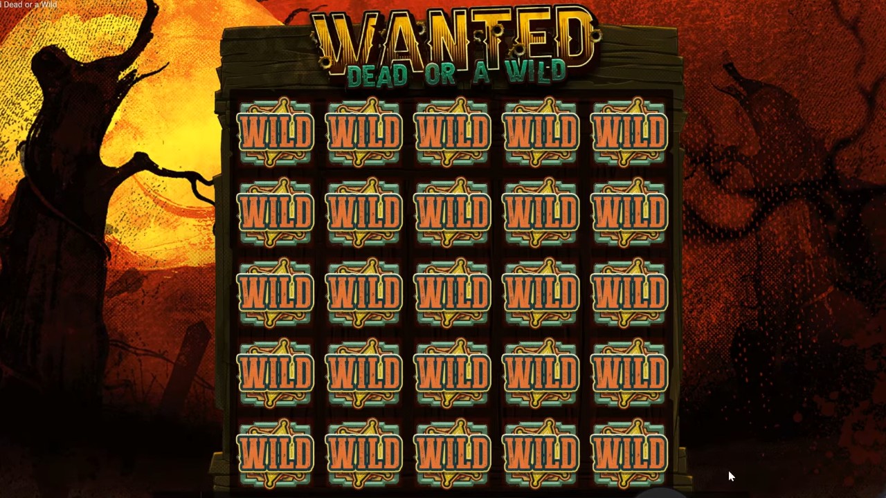 Amazing Win on Wanted Dead Or A Wild Slot by Kongebonus