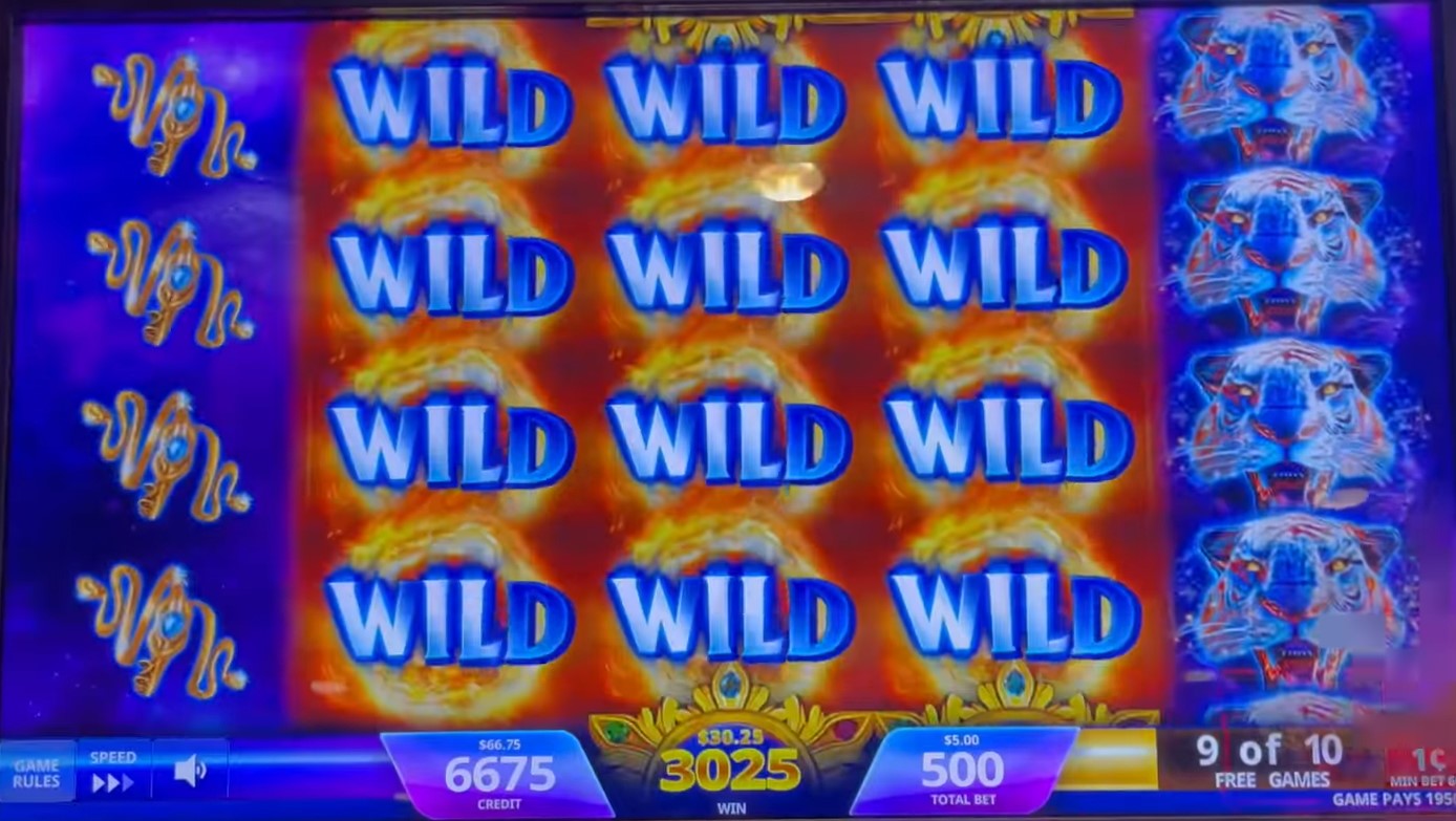 SDGuy1234 Wins Big at Bombay Slot Machine to End a Good Haul